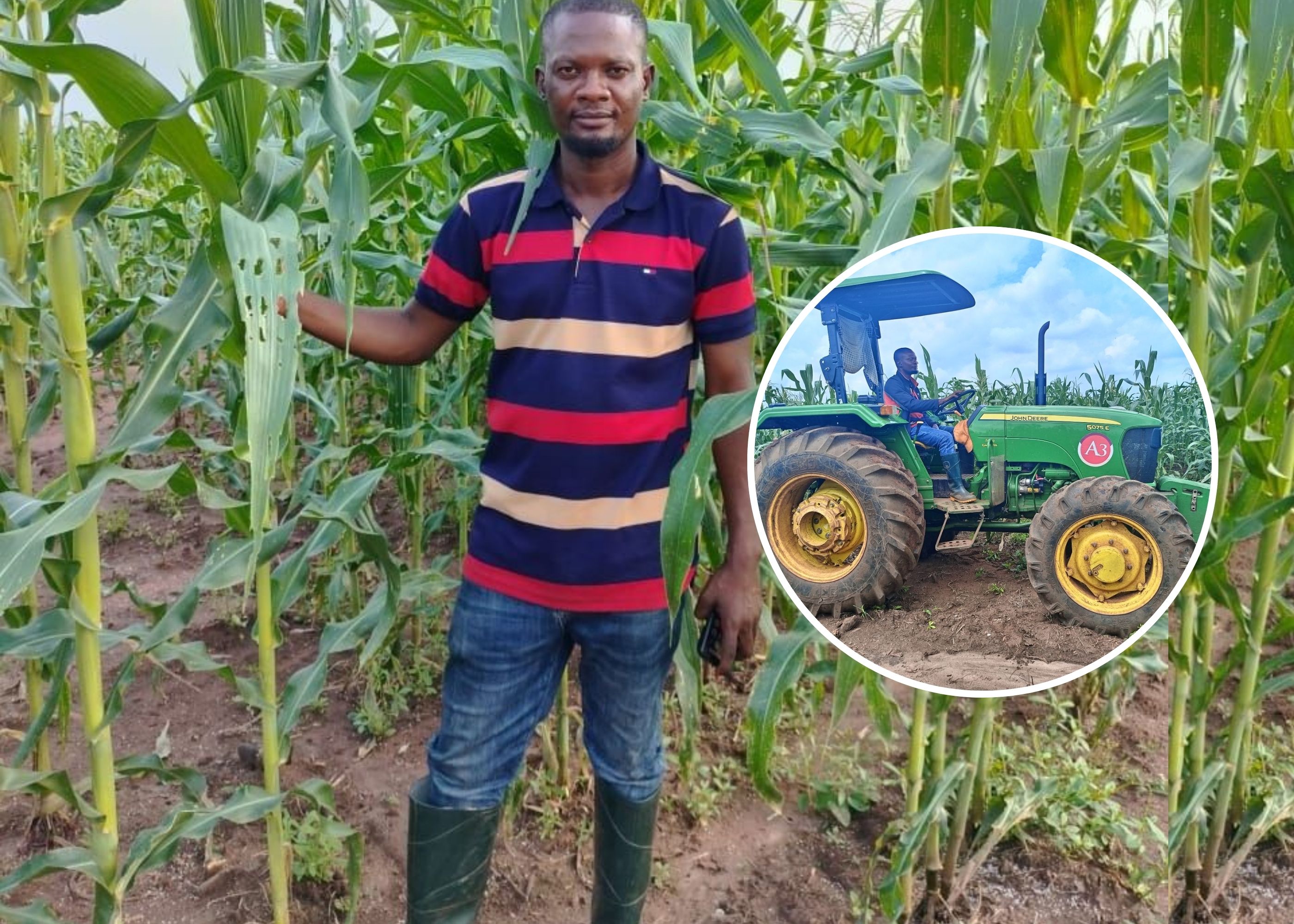 TAO Junction | How CWAY Nigeria Dairy's arable manager is promoting ...